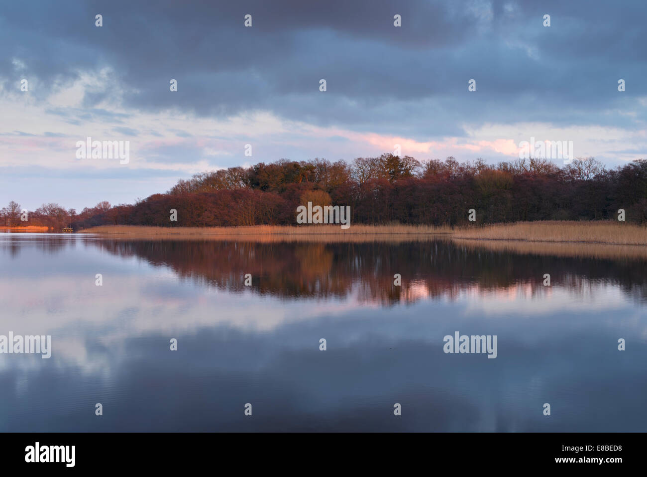 A view of Ormesby Broad in the Norfolk Broads Stock Photo - Alamy