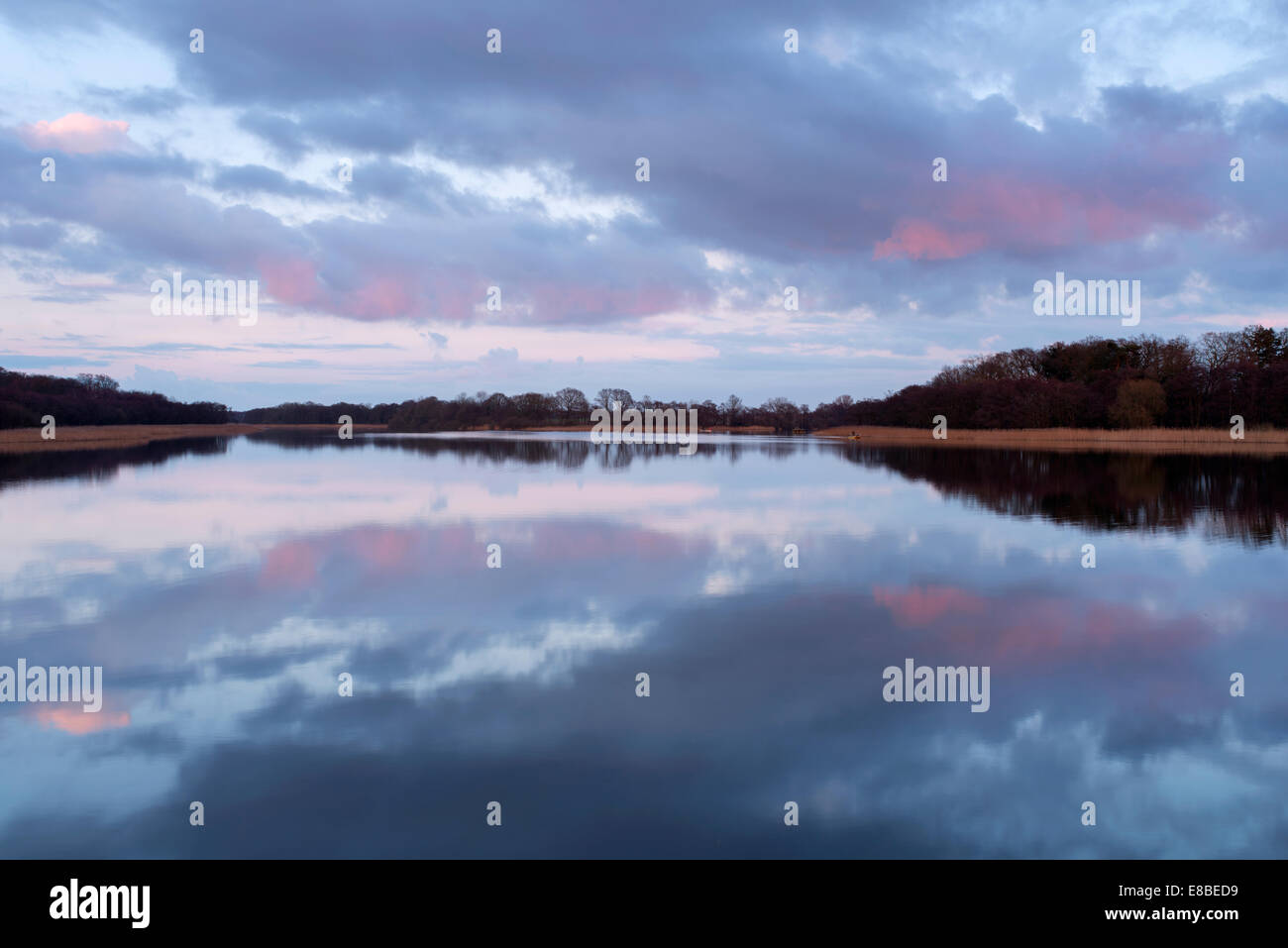 A view of Ormesby Broad, Norfolk Broads Stock Photo - Alamy