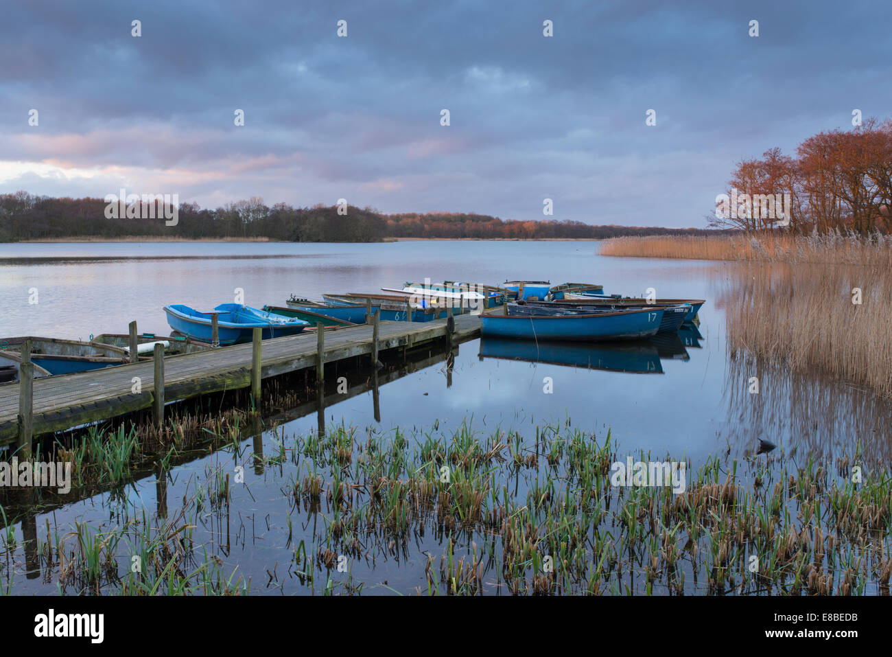 A view of Ormesby little Broad in the Norfolk Broads Stock Photo - Alamy