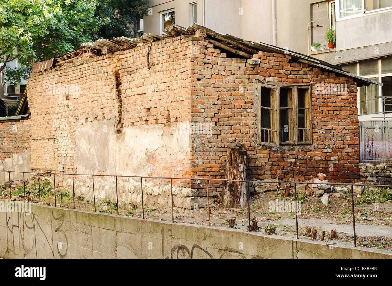 Old wall with broken window and tree Stock Photo - Alamy