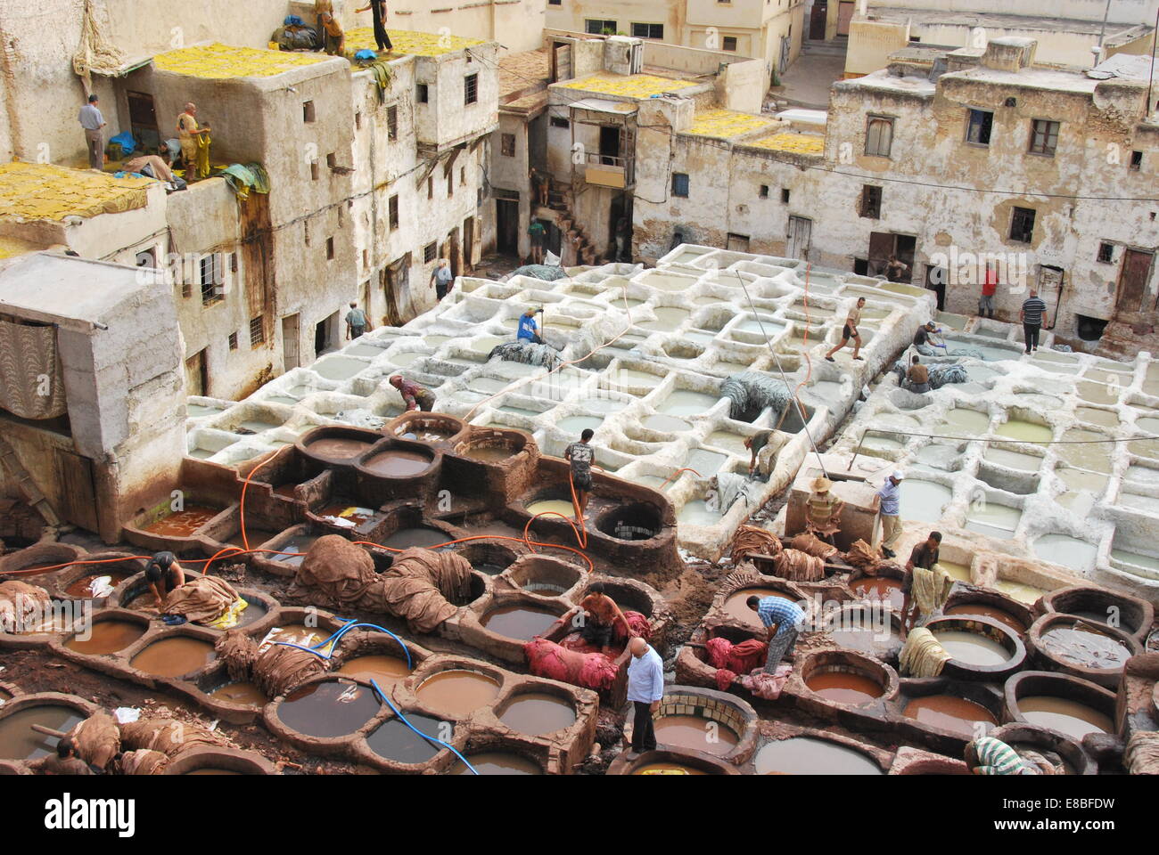 Morocco. Fez. Men in tannery. Medina. Curing skins. Dyeing skins ...