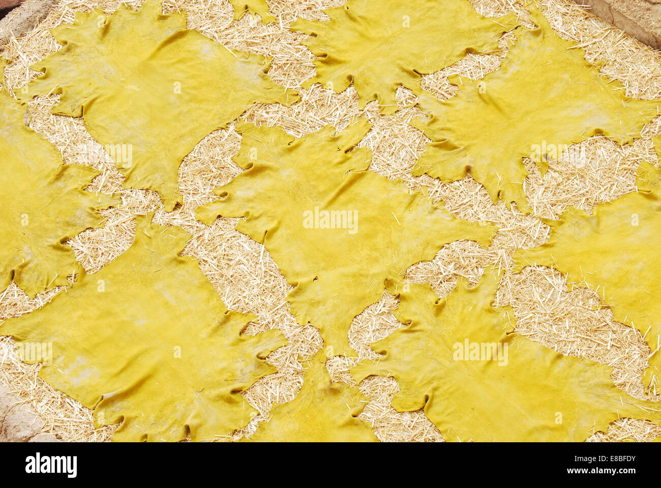 Morocco. Fez. tannery. Medina. Curing skins. Dyeing skins. UNESCO site ...