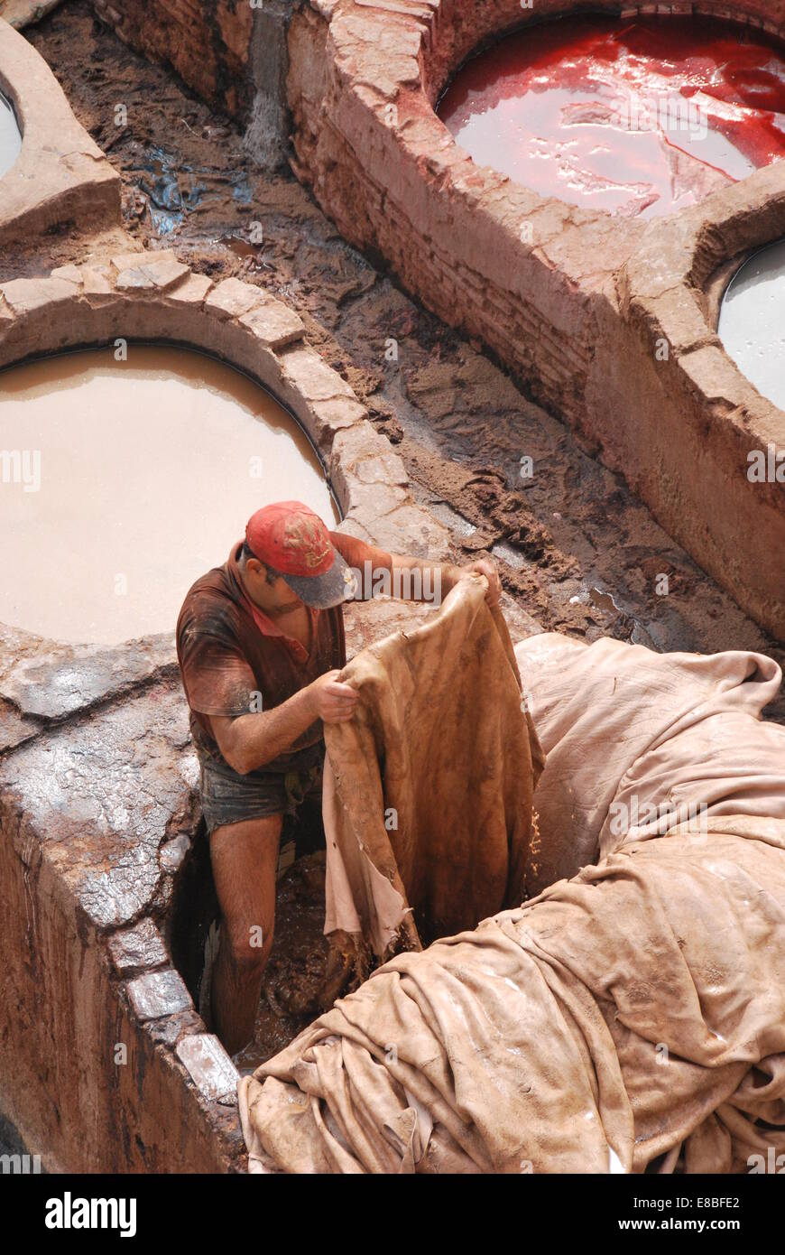 Morocco. Fez. Man in tannery. Medina. Curing skins. Dyeing skins ...