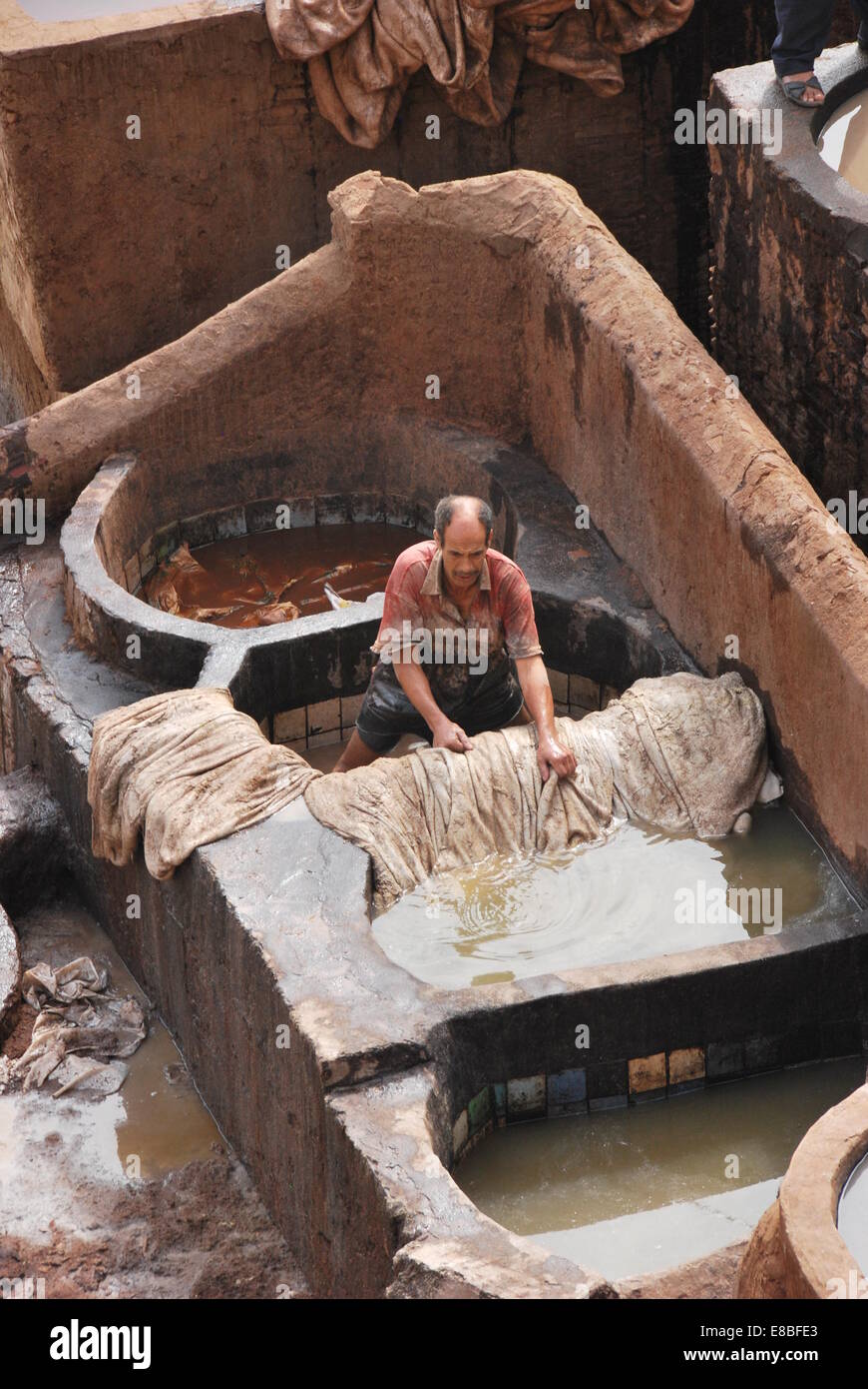 Morocco. Fez. Man in tannery. Medina. Curing skins. Dyeing skins ...