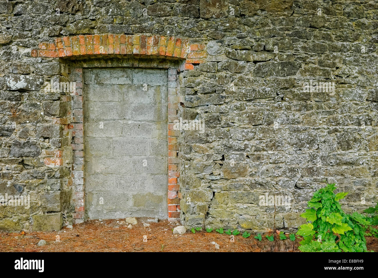 Blocked door hi-res stock photography and images - Alamy
