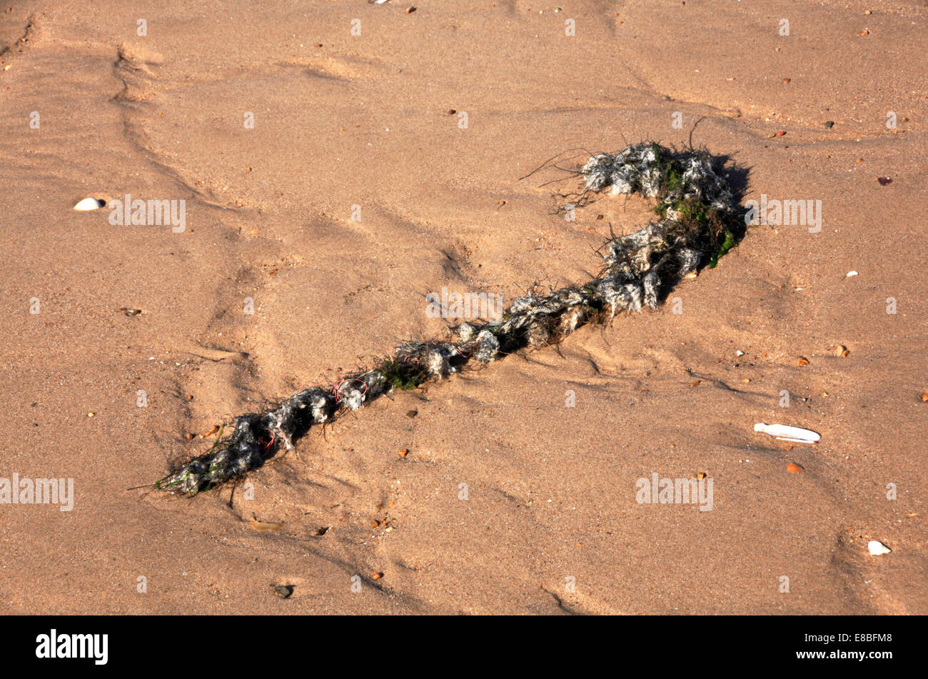 A piece of rope in the shape of the letter J on a beach Stock Photo - Alamy