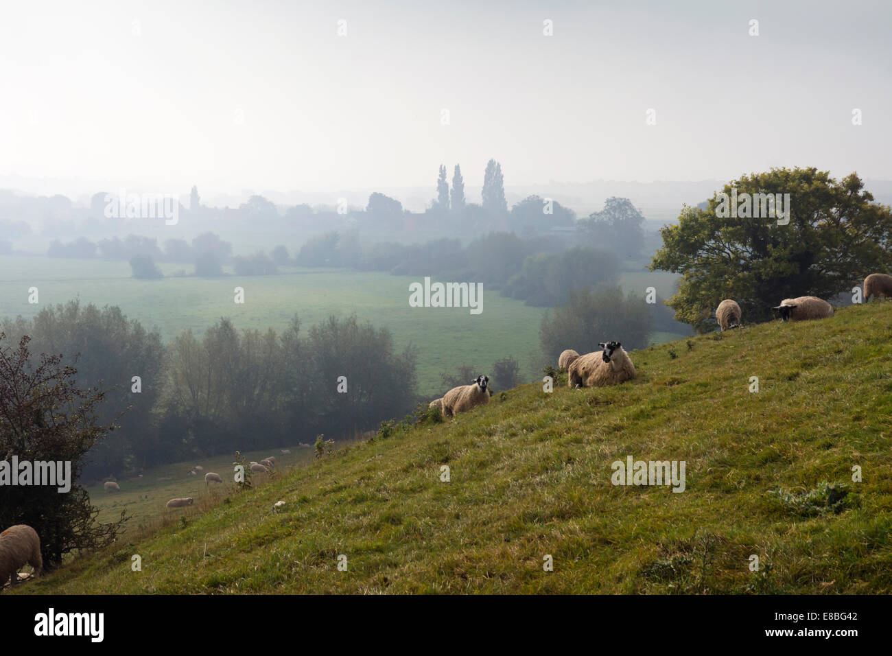 Burrowbridge Somerset England UK From Burrow Bump Stock Photo - Alamy