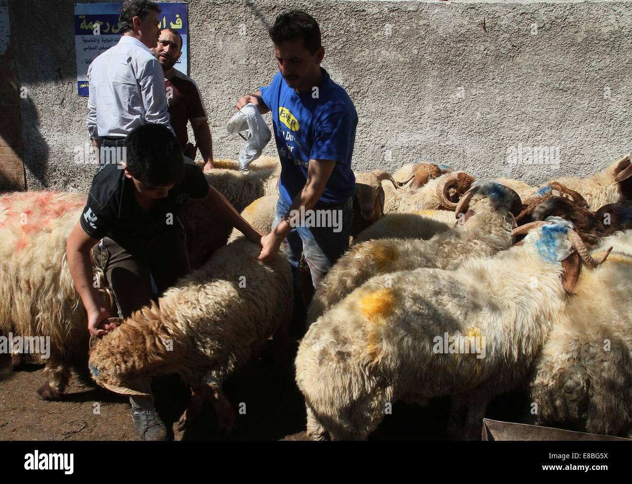 Damascus. 4th Oct, 2014. Syrians buy sheep in one of Damascus ...