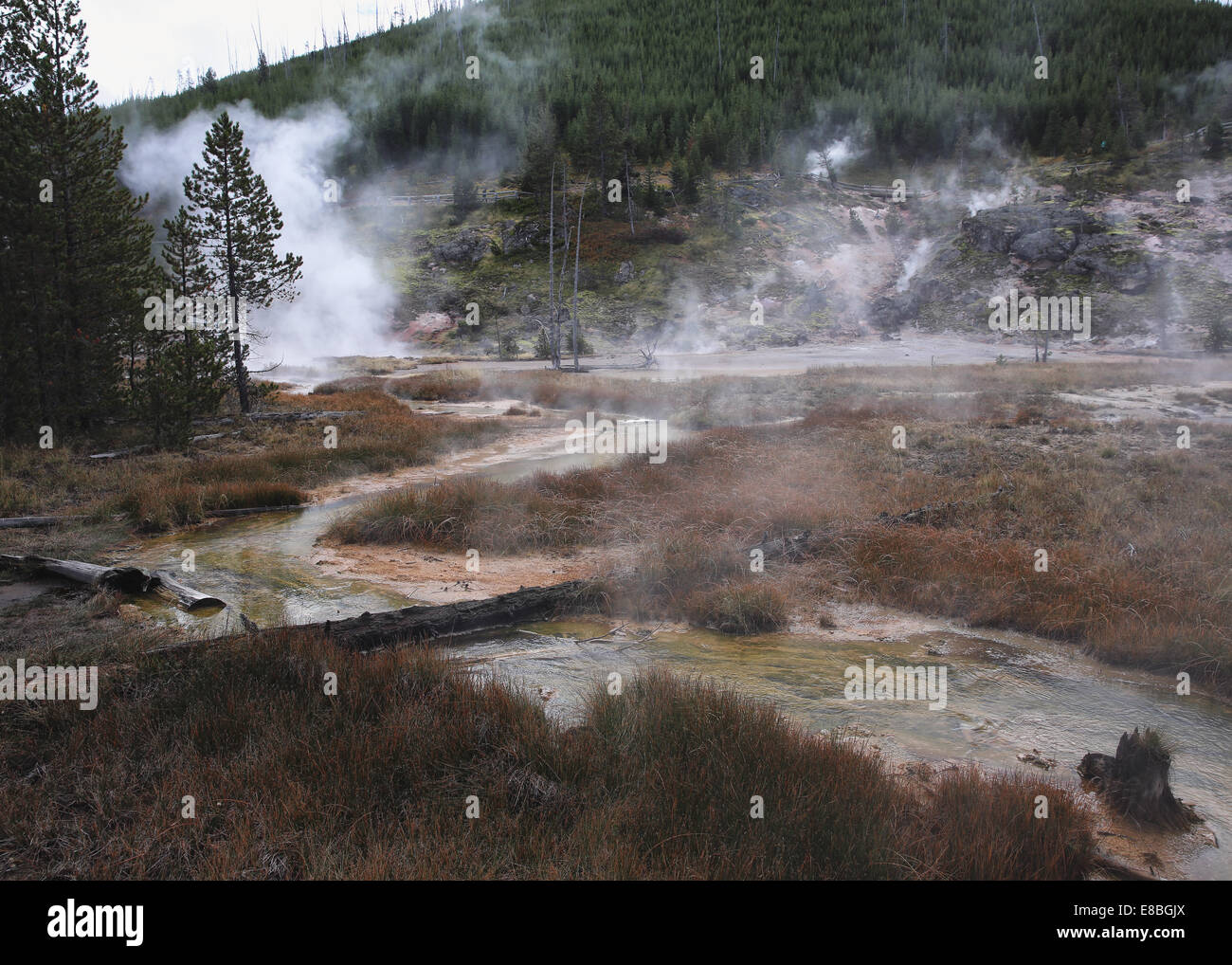 Artist's Paint Pots volcanic thermal pools, in Yellowstone National ...