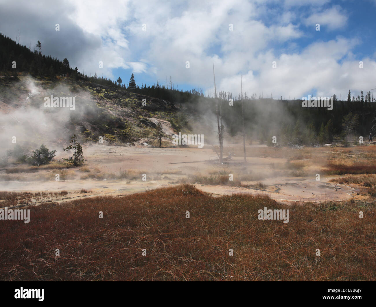 Artist's Paint Pots volcanic thermal pools, in Yellowstone National ...