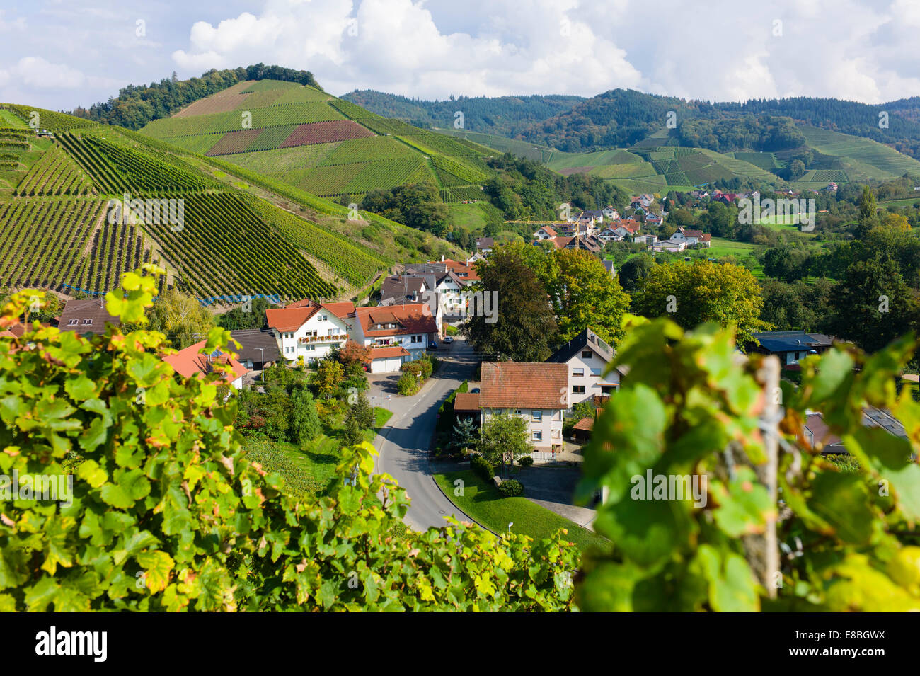 Durbach hi-res stock photography and images - Alamy