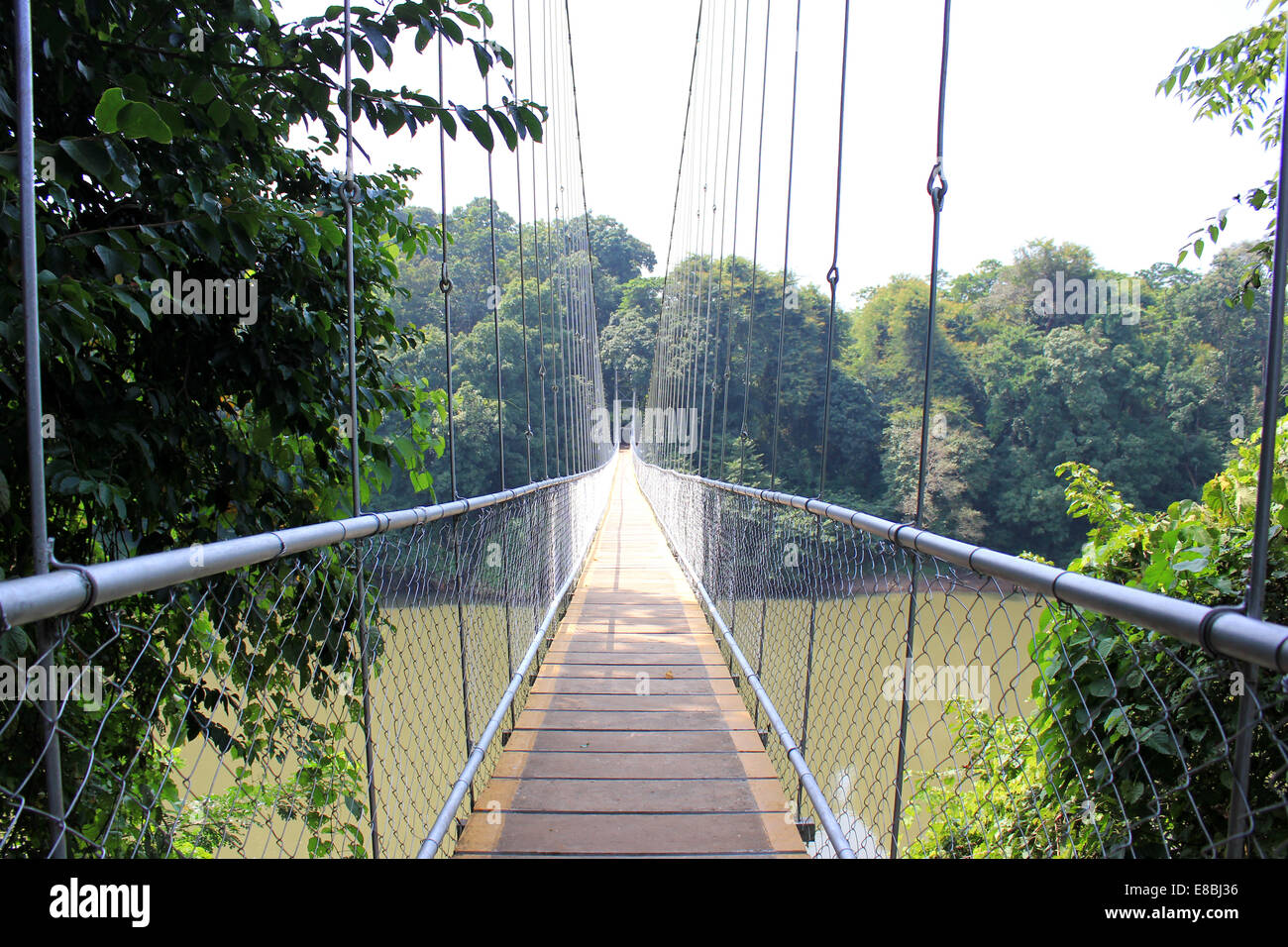 Hanging bridge kerala hi-res stock photography and images - Alamy