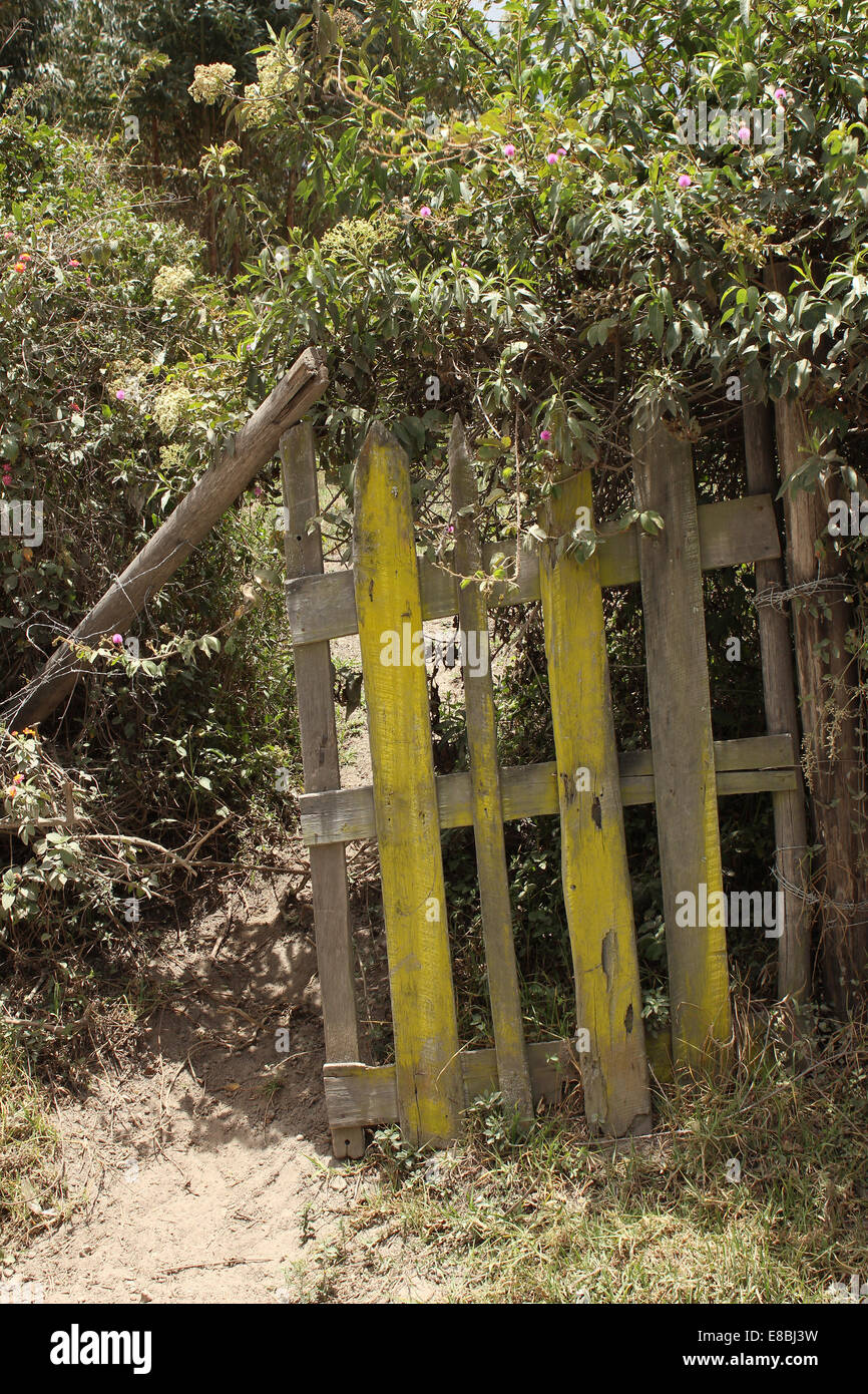 A wooden gate set among trees on a property in Cotacachi, Ecuador Stock ...