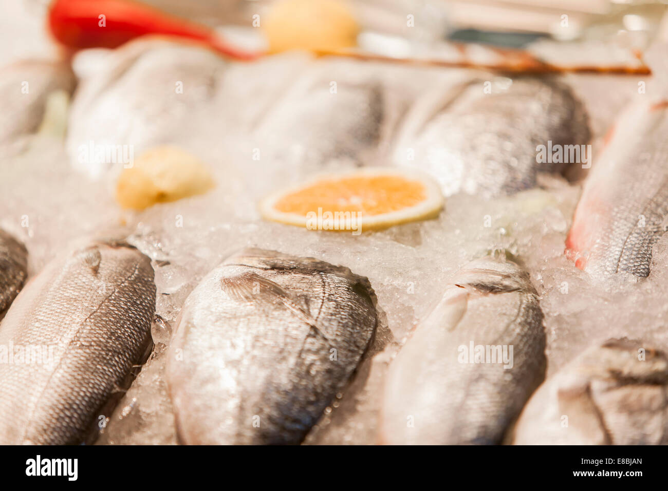 Fresh fish choice hi-res stock photography and images - Alamy