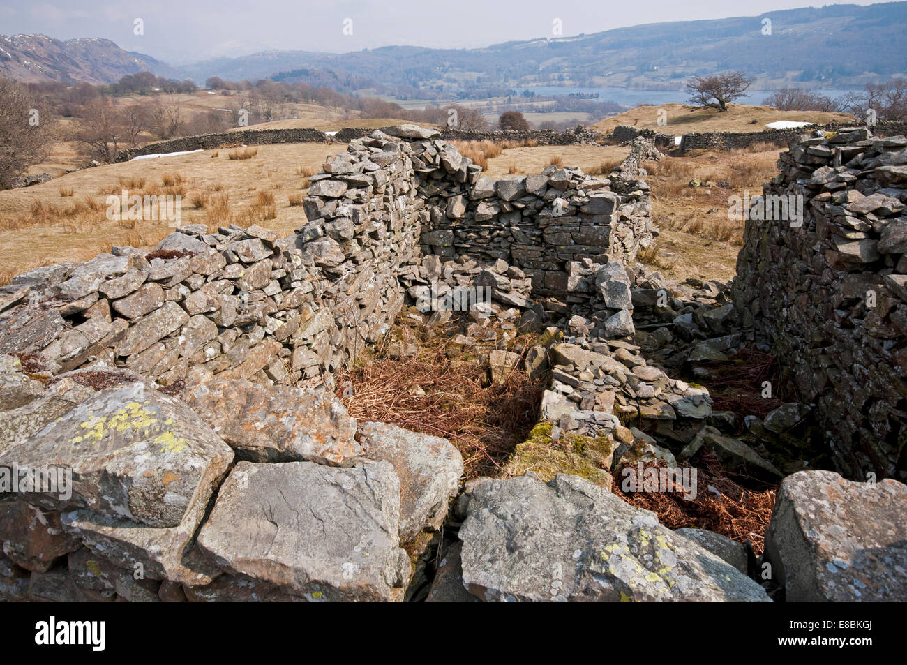 A broken down stone farm building above the Lakeland village of ...