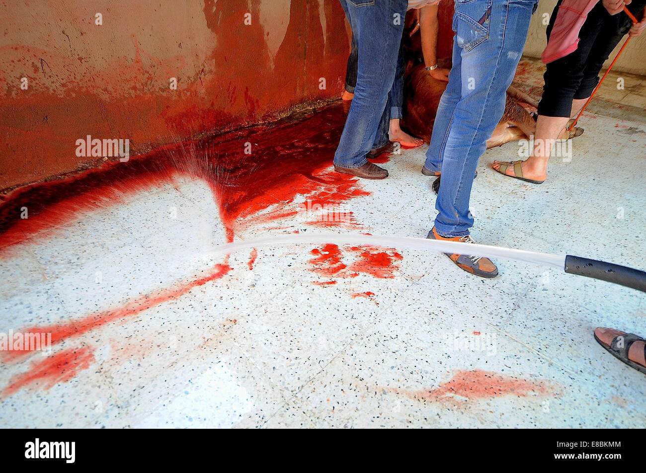 Sacrificed upon hi-res stock photography and images - Alamy