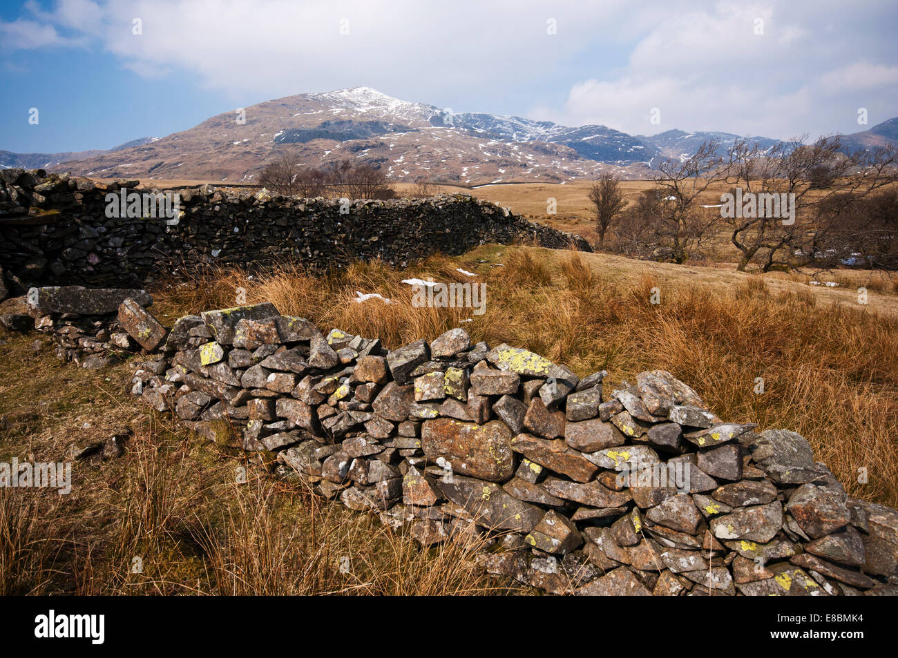 The Old Man of Coniston in the Lake District National Park. Viewed from ...