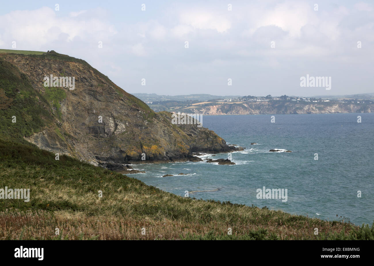 black head on the south coast of cornwall Stock Photo - Alamy