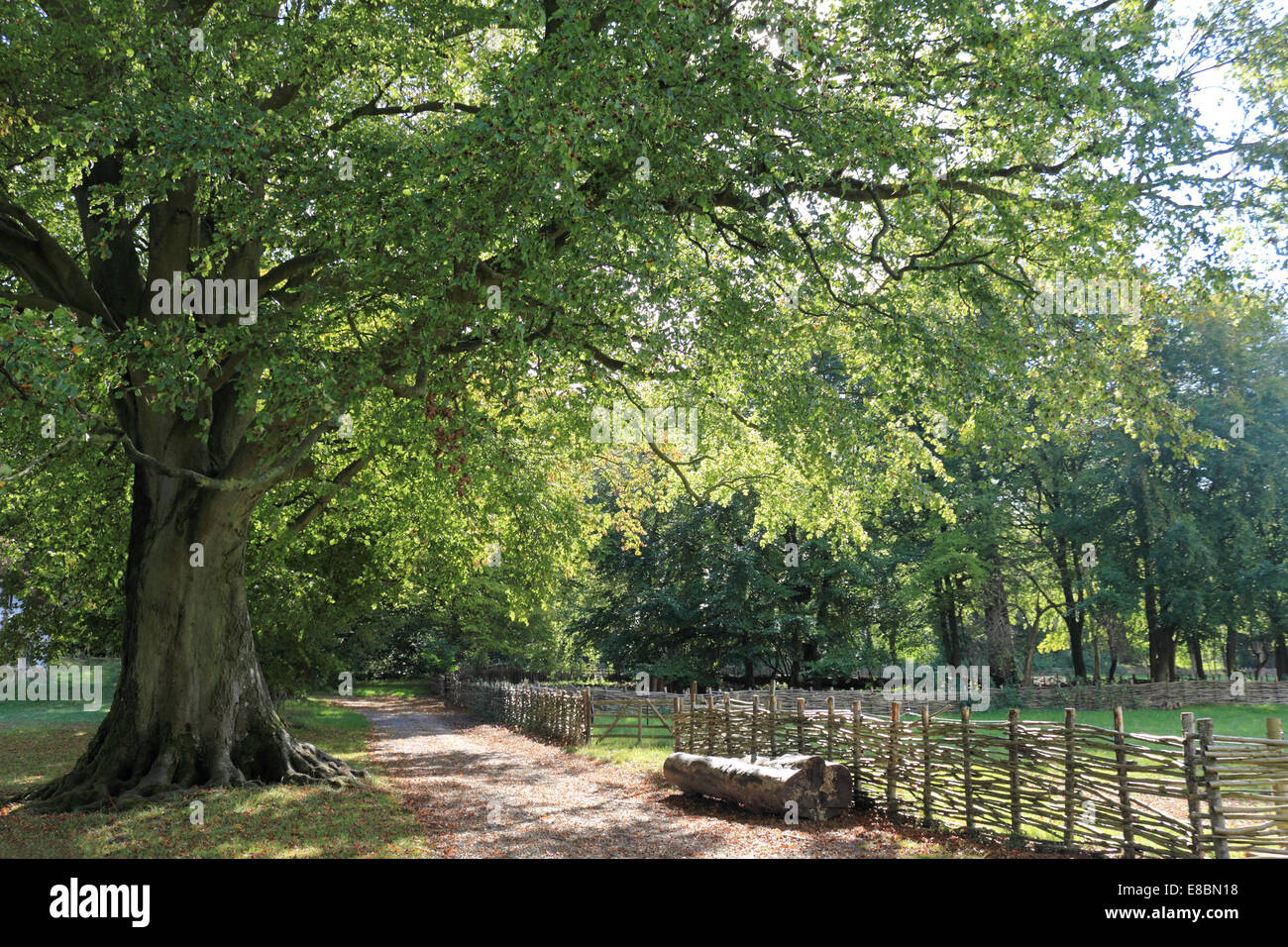 Classic british countryside hi-res stock photography and images - Alamy