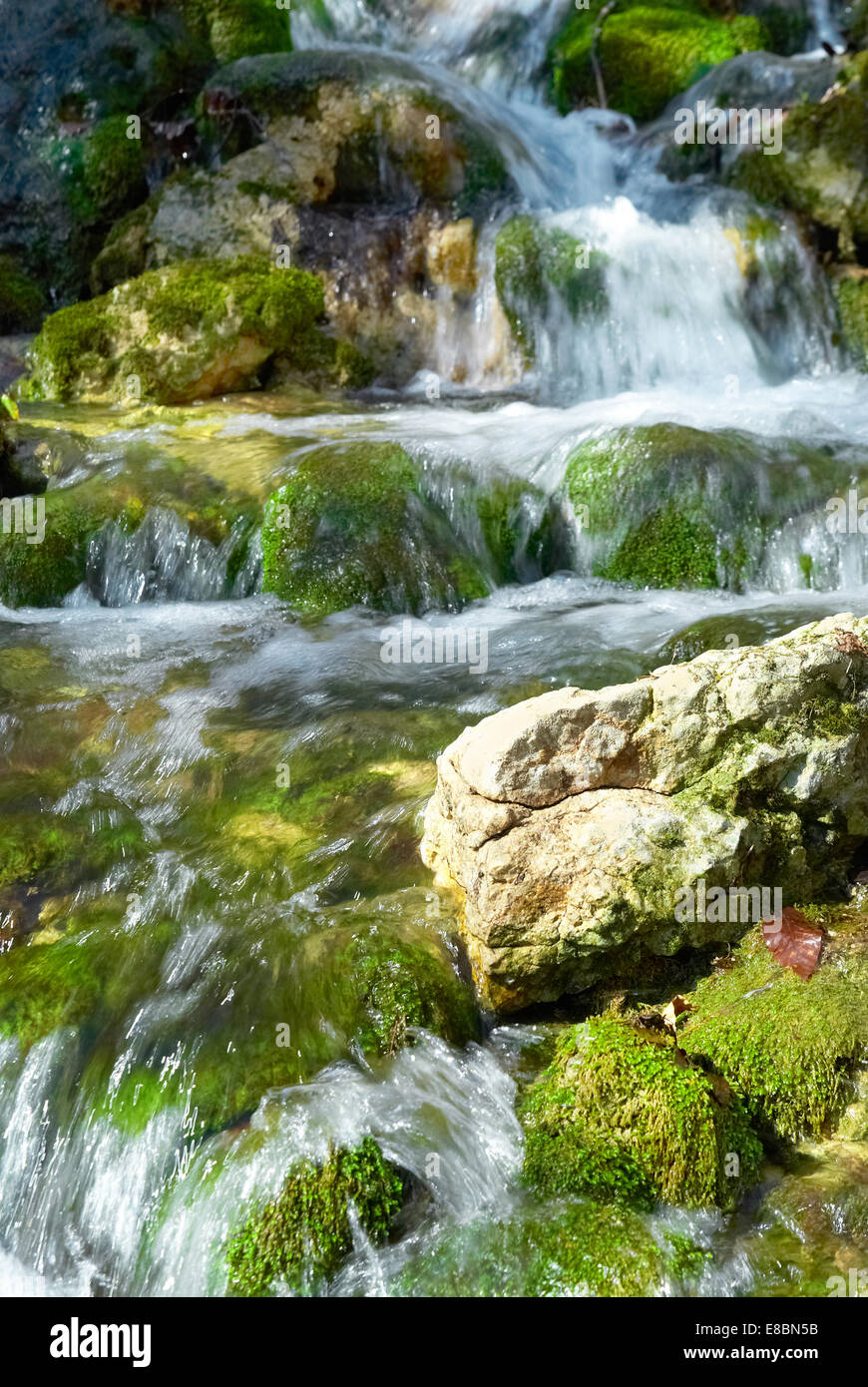 Beautiful River in the forest with small waterfalls Stock Photo - Alamy