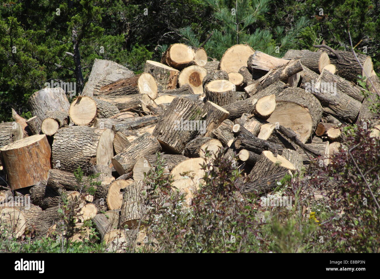 Timber lengths hi-res stock photography and images - Alamy