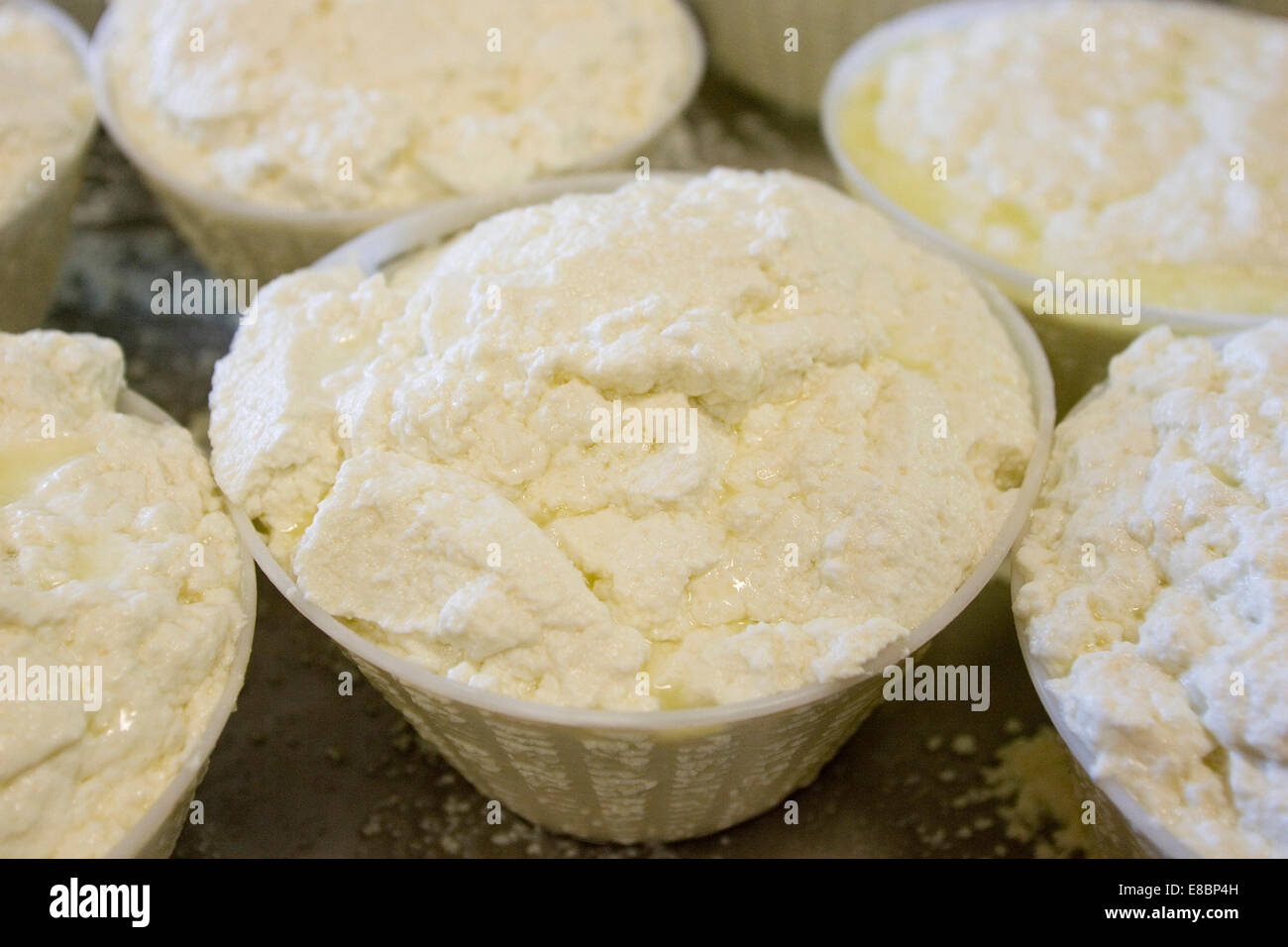 europe, italy, tuscany, crete senesi area, vergelle ranch, cheese ...