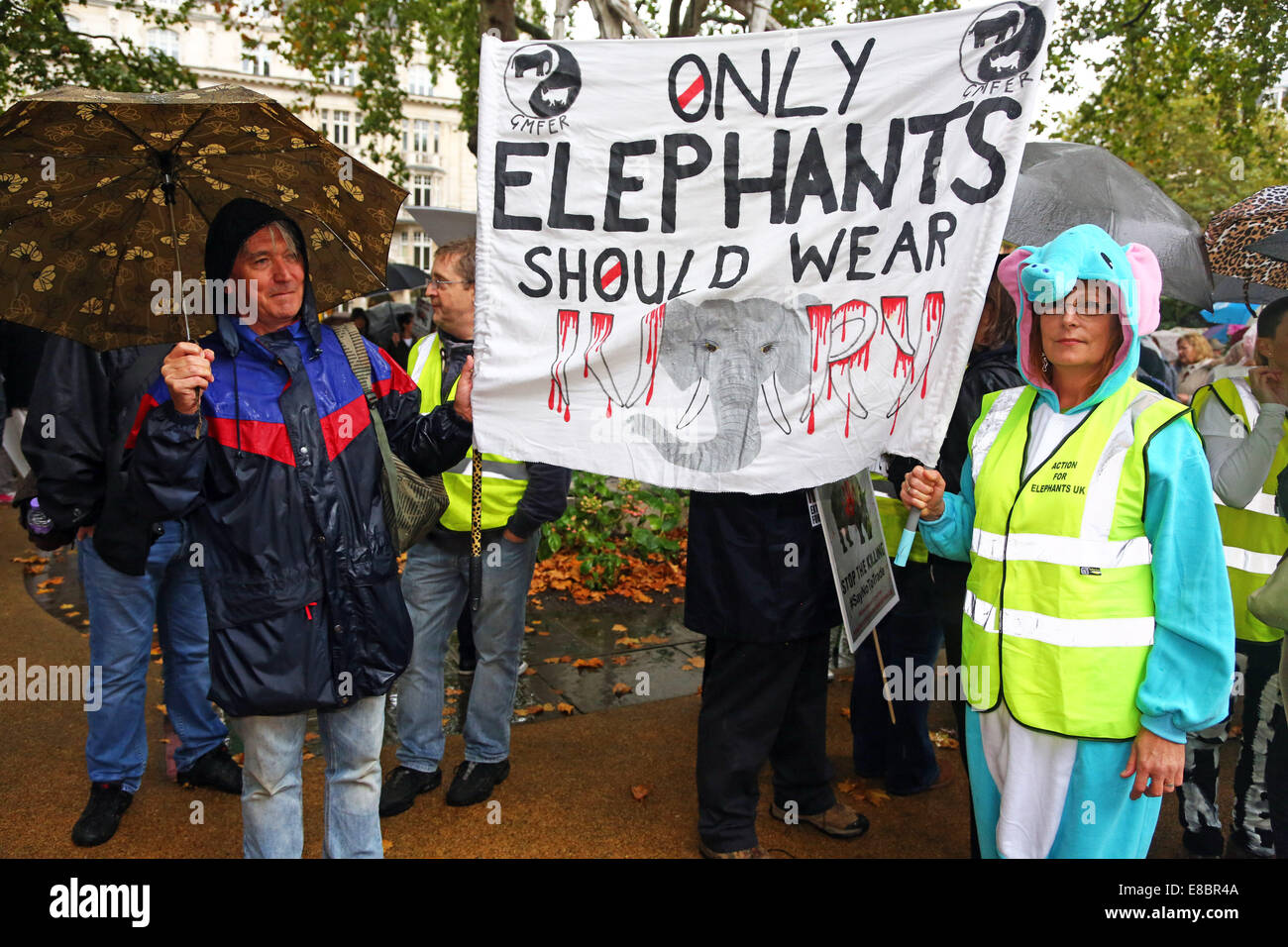 Elephants rally hi-res stock photography and images - Alamy