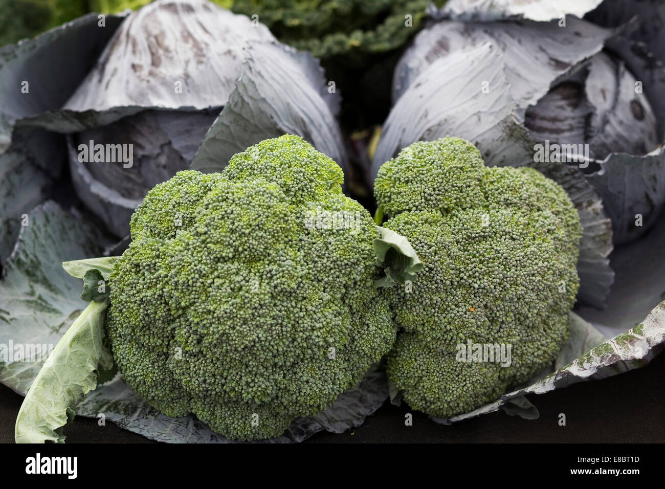 Broccoli and Cabbage Stock Photo - Alamy