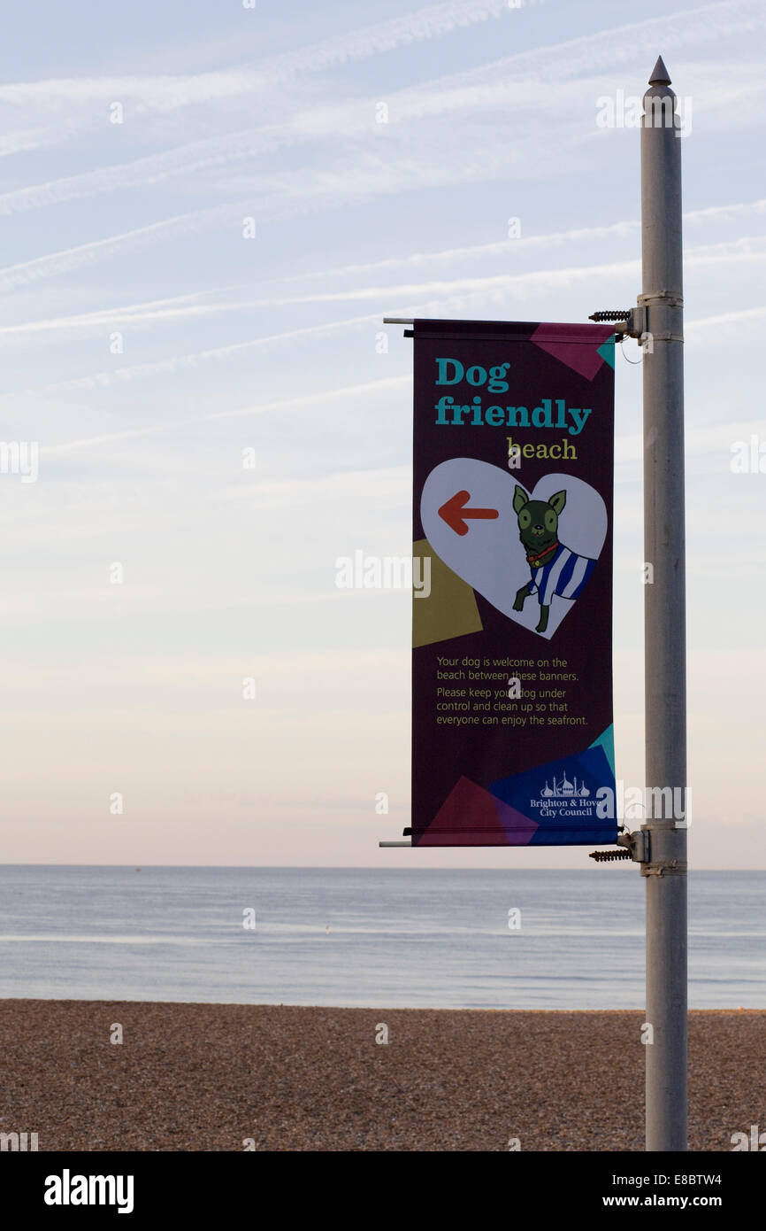 Dog friendly beach hi-res stock photography and images - Alamy