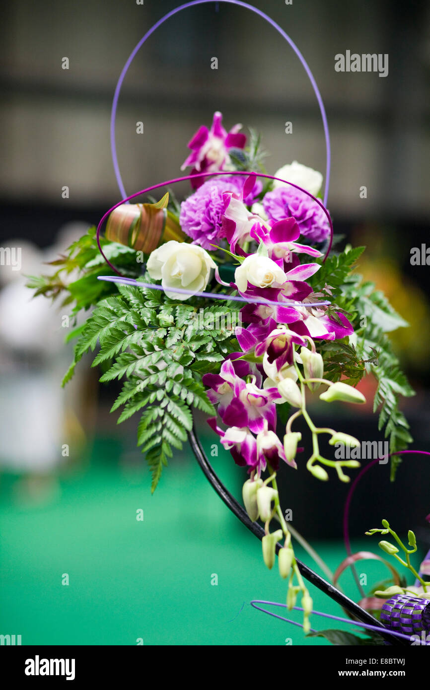 Display delicate patterns hi-res stock photography and images - Alamy