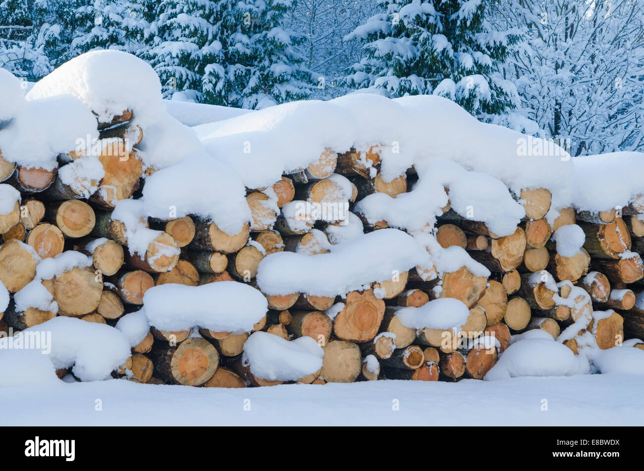Winter cut logs tree hi-res stock photography and images - Alamy