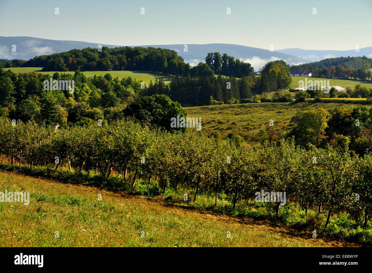 Williamstown, MA: Rolling farmlands with clouds nestling on the ...