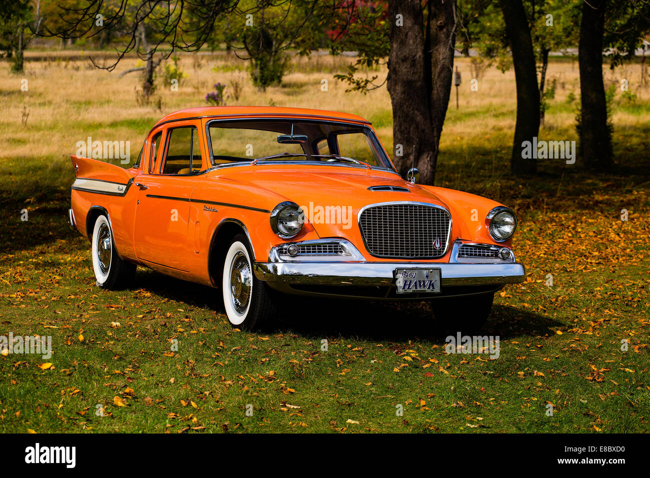 1961 Studebaker Hawk on grass Stock Photo - Alamy