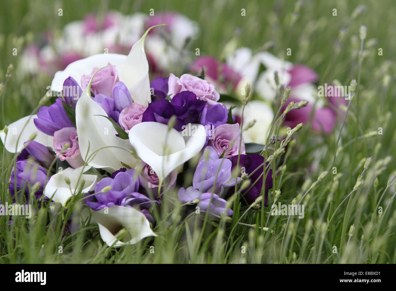 Detailed shots of wedding Stock Photo - Alamy