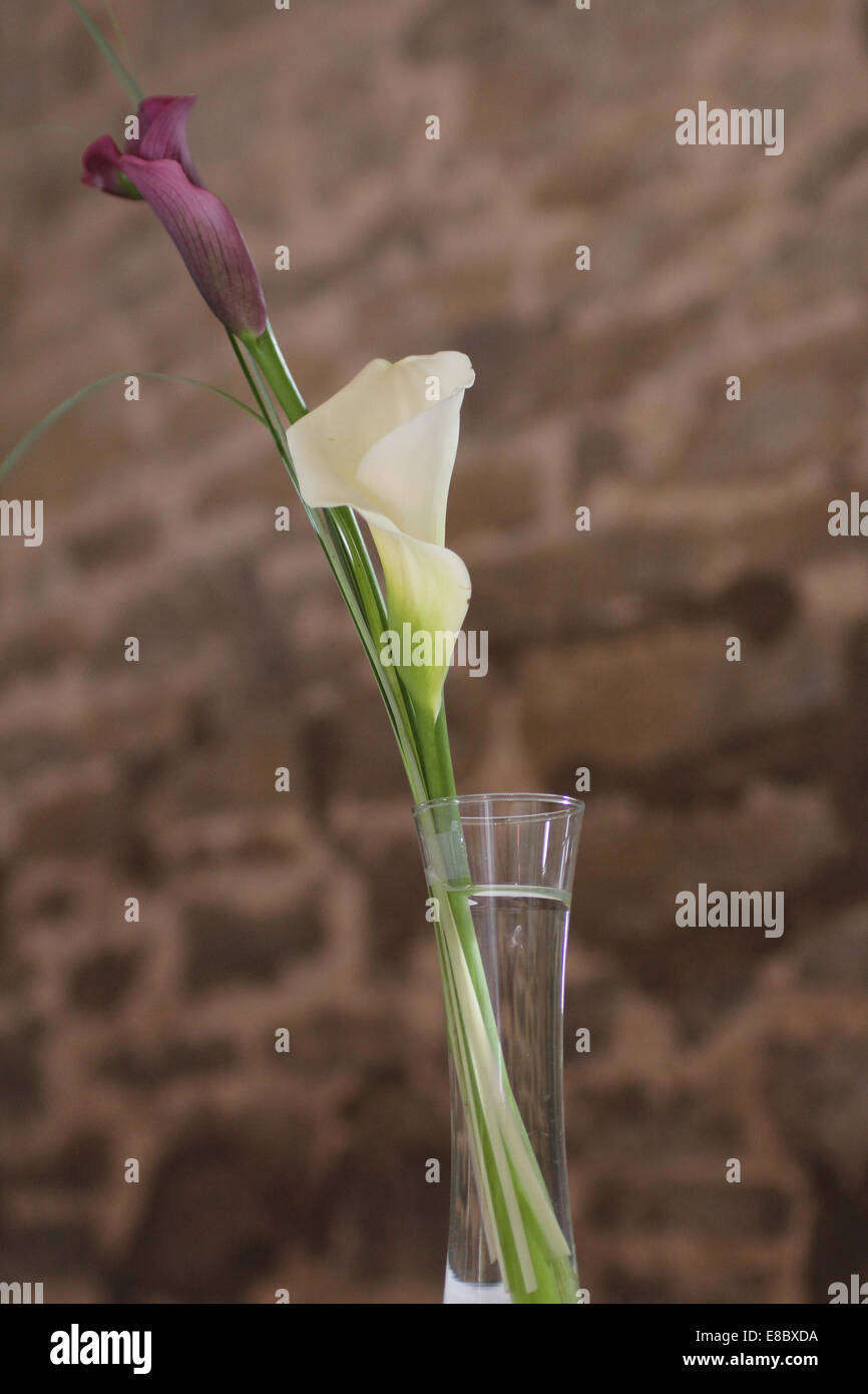 Detailed shots of a wedding Stock Photo - Alamy