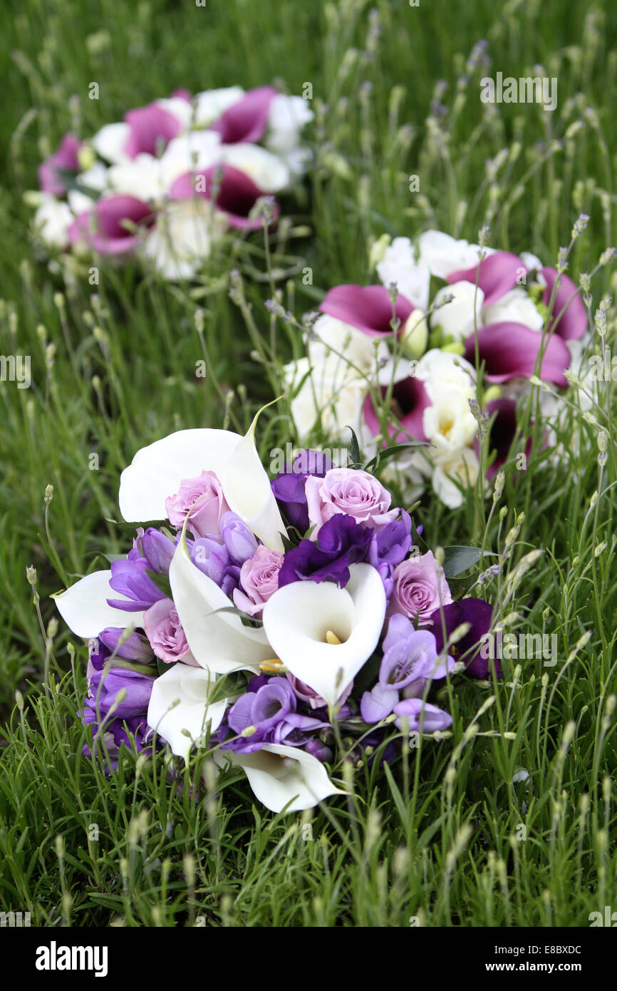 Detailed shots of a wedding Stock Photo - Alamy