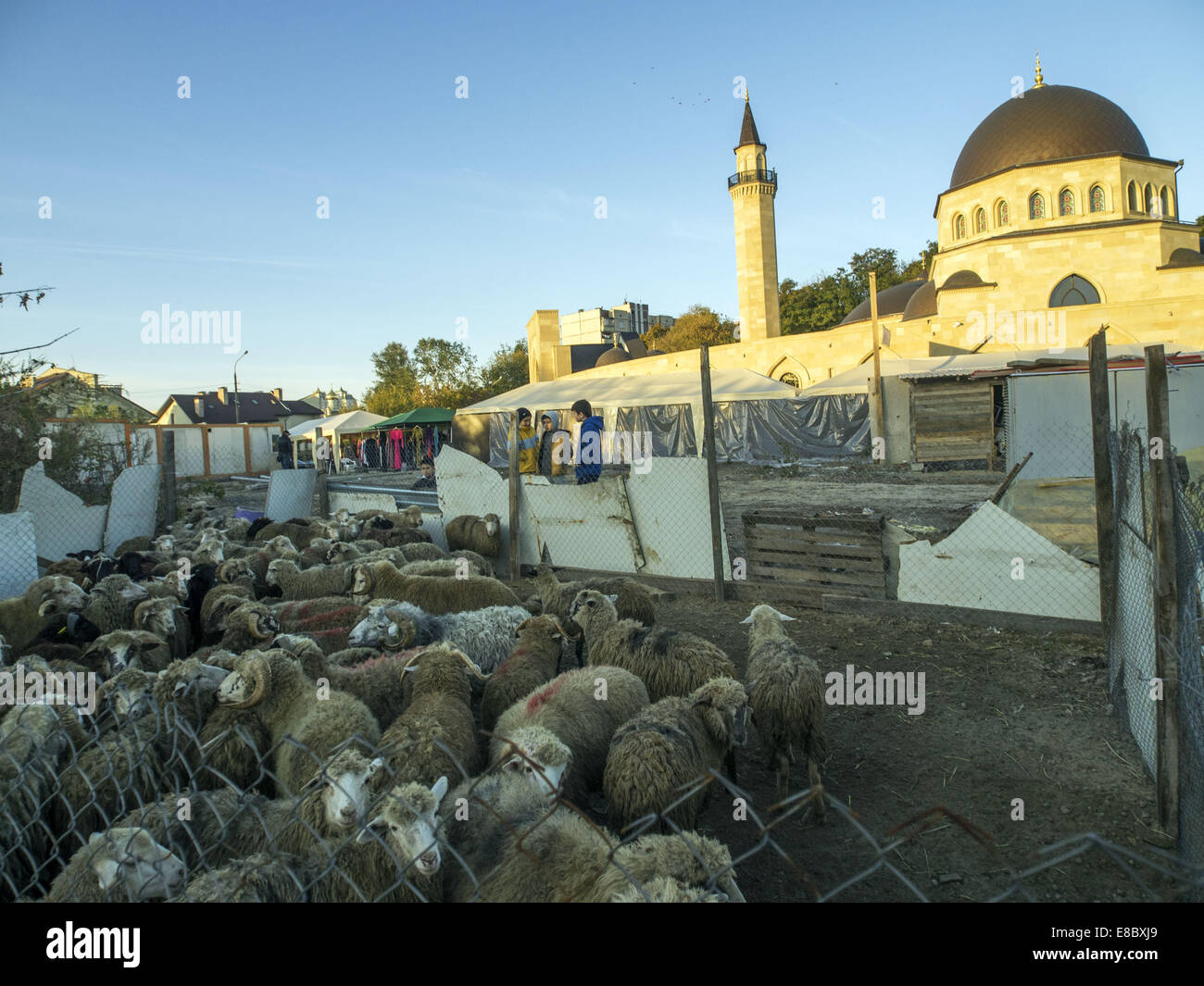 Muslims celebrate sacrificial feast hi-res stock photography and images ...