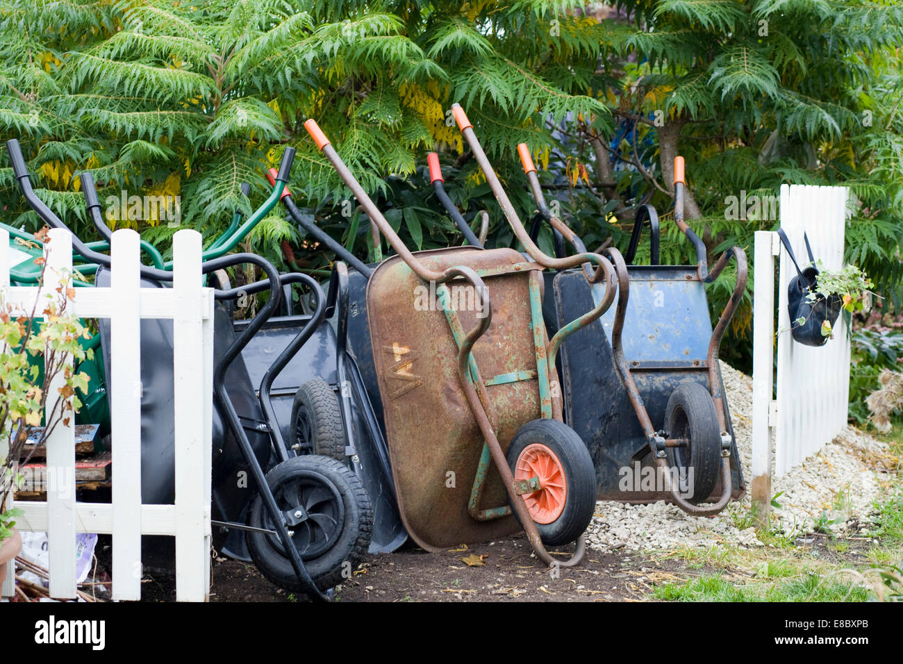 Stacked wheelbarrows in a garden Stock Photo - Alamy