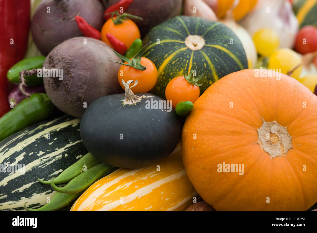Vegetable Display for a Harvest Basket Stock Photo - Alamy