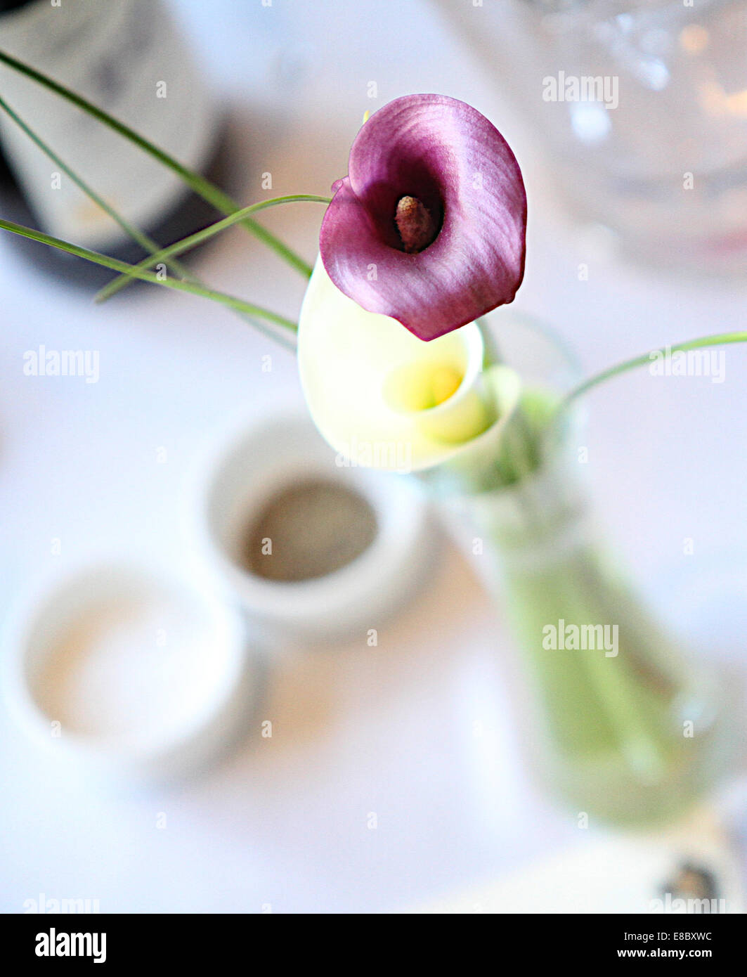 Detailed shots of a wedding Stock Photo - Alamy