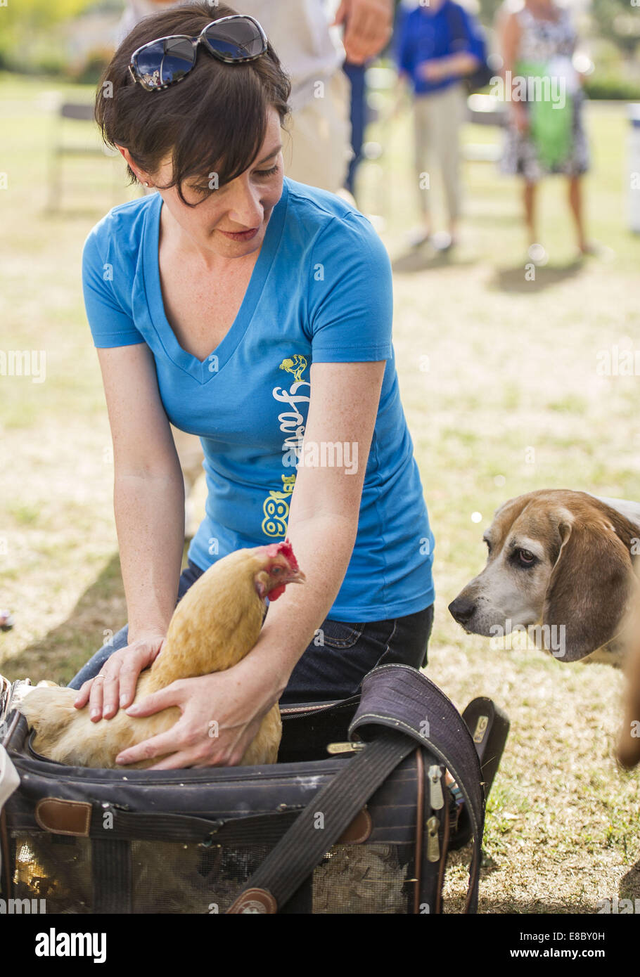 Santa Barbara, CA, USA. 5th Oct, 2014. The Blessing of the Animals at ...