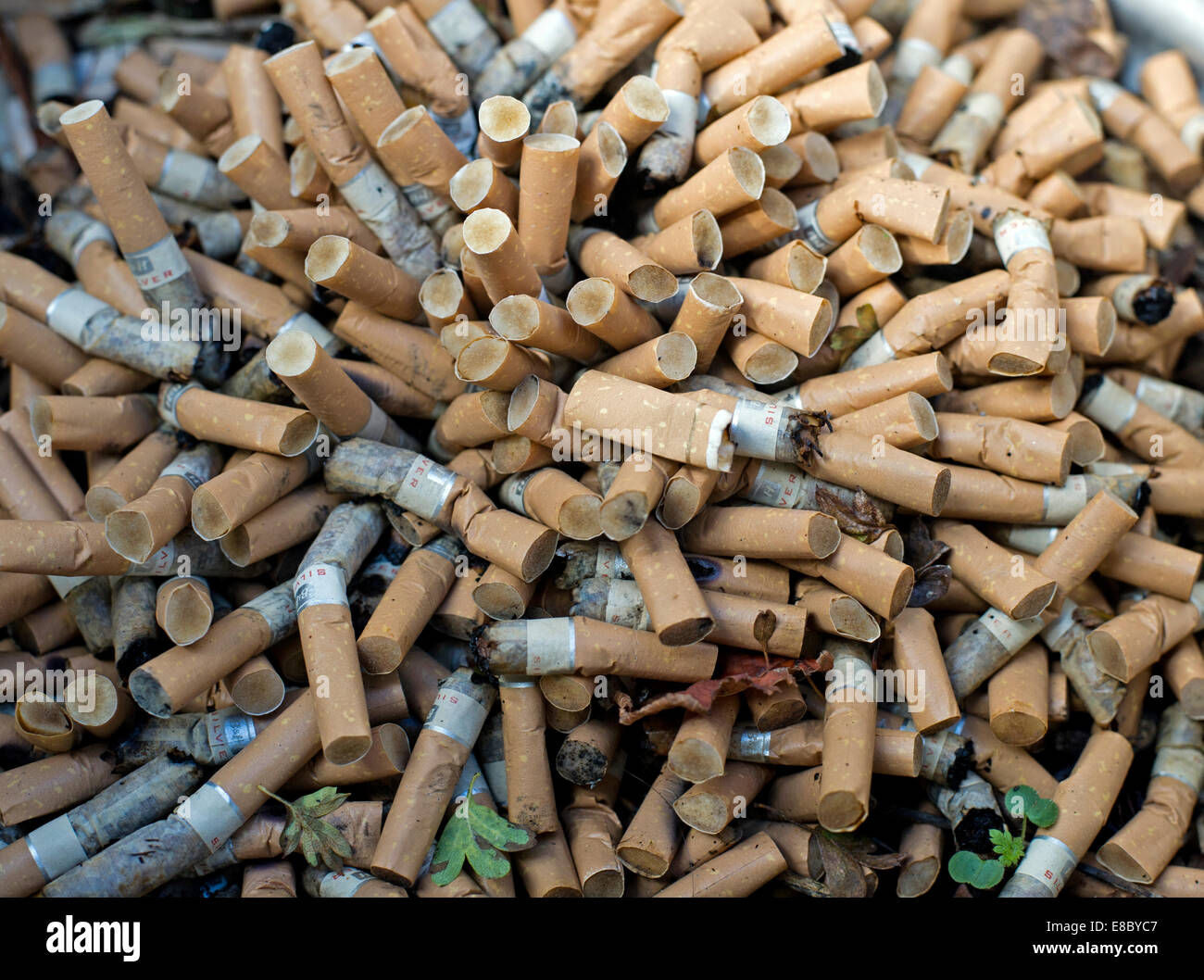 Used cigarette hi-res stock photography and images - Alamy