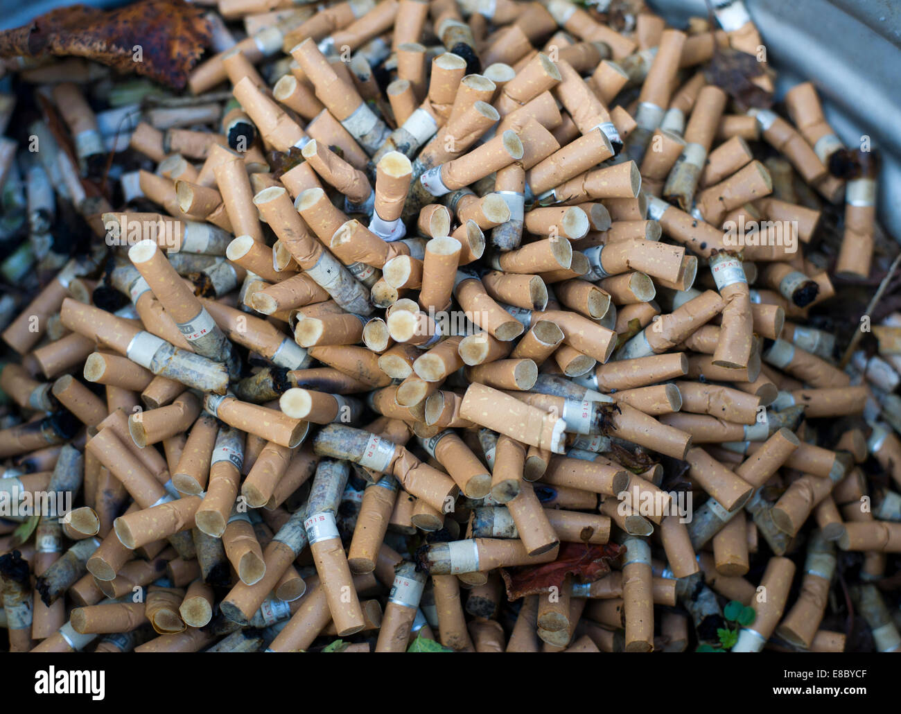 A pile of used cigarette butts Stock Photo - Alamy
