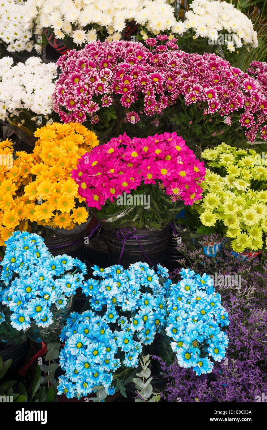 Assortment of plants hi-res stock photography and images - Alamy