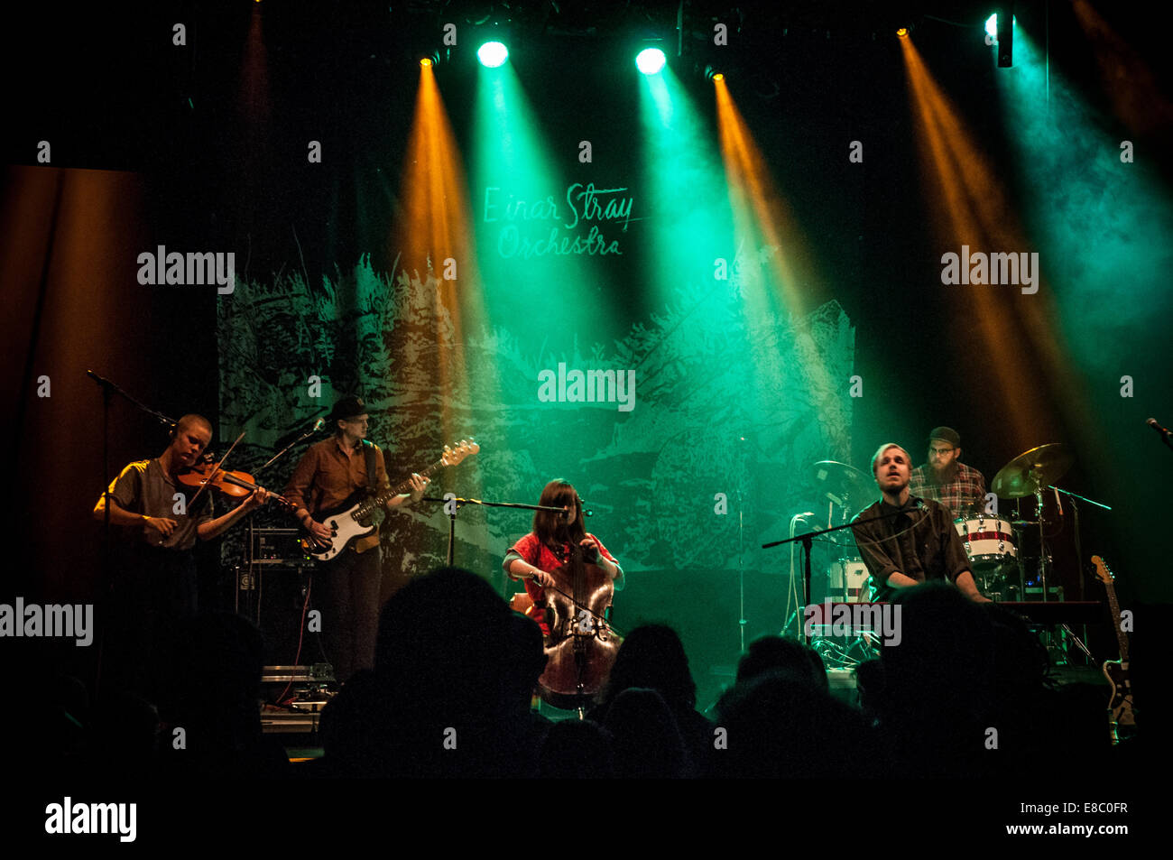 Indie stray hi-res stock photography and images - Alamy
