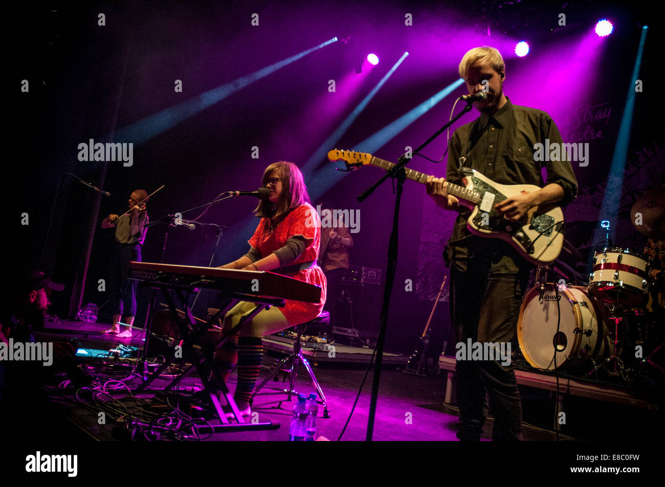 Indie stray hi-res stock photography and images - Alamy
