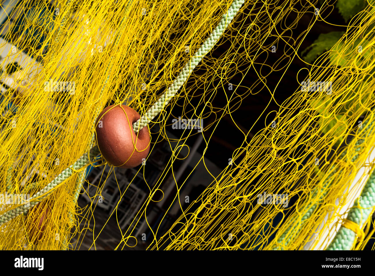 Water fish with net hi-res stock photography and images - Alamy