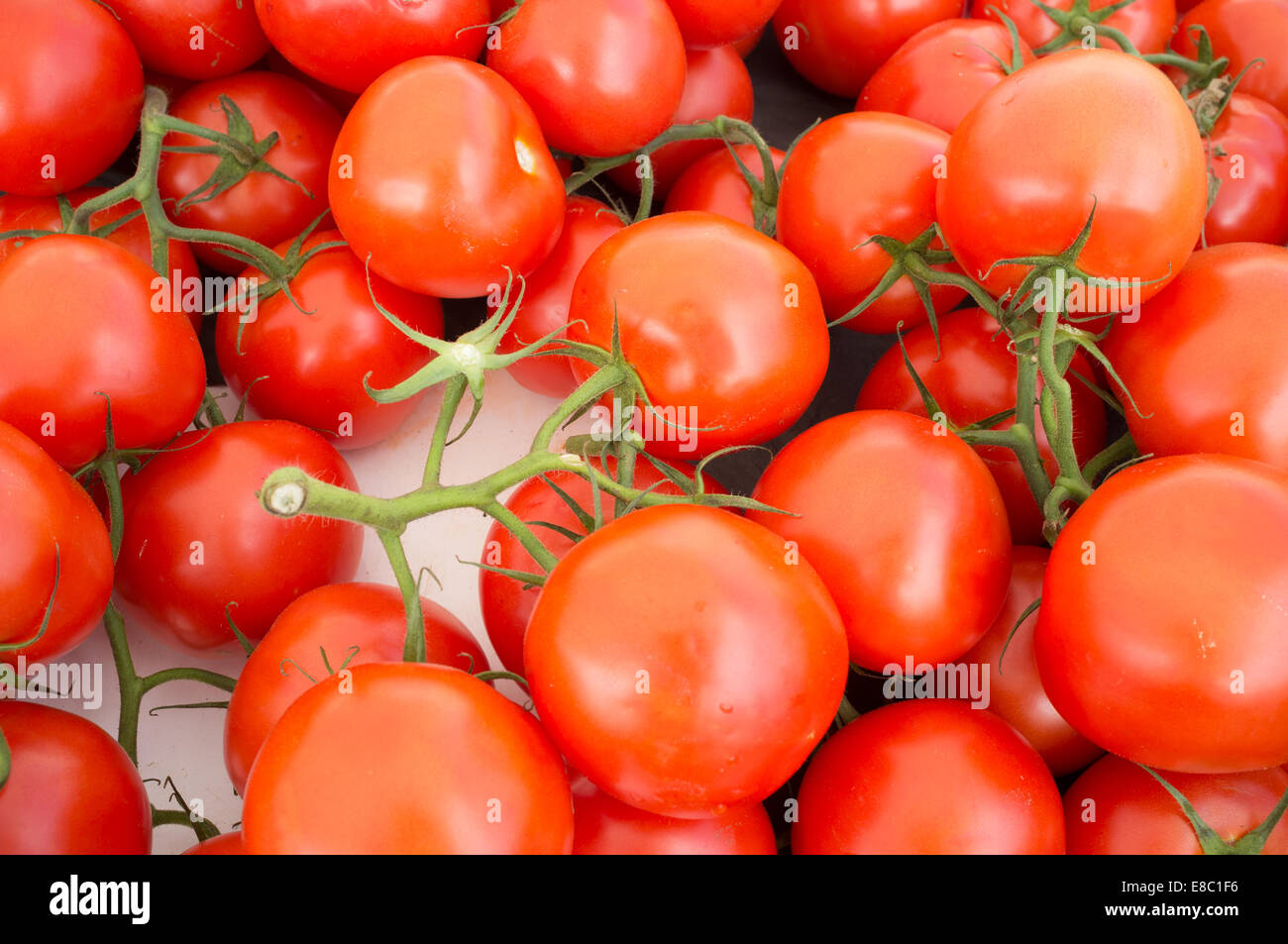 Full frame take of fresh tomatoes on a street market stall Stock Photo ...