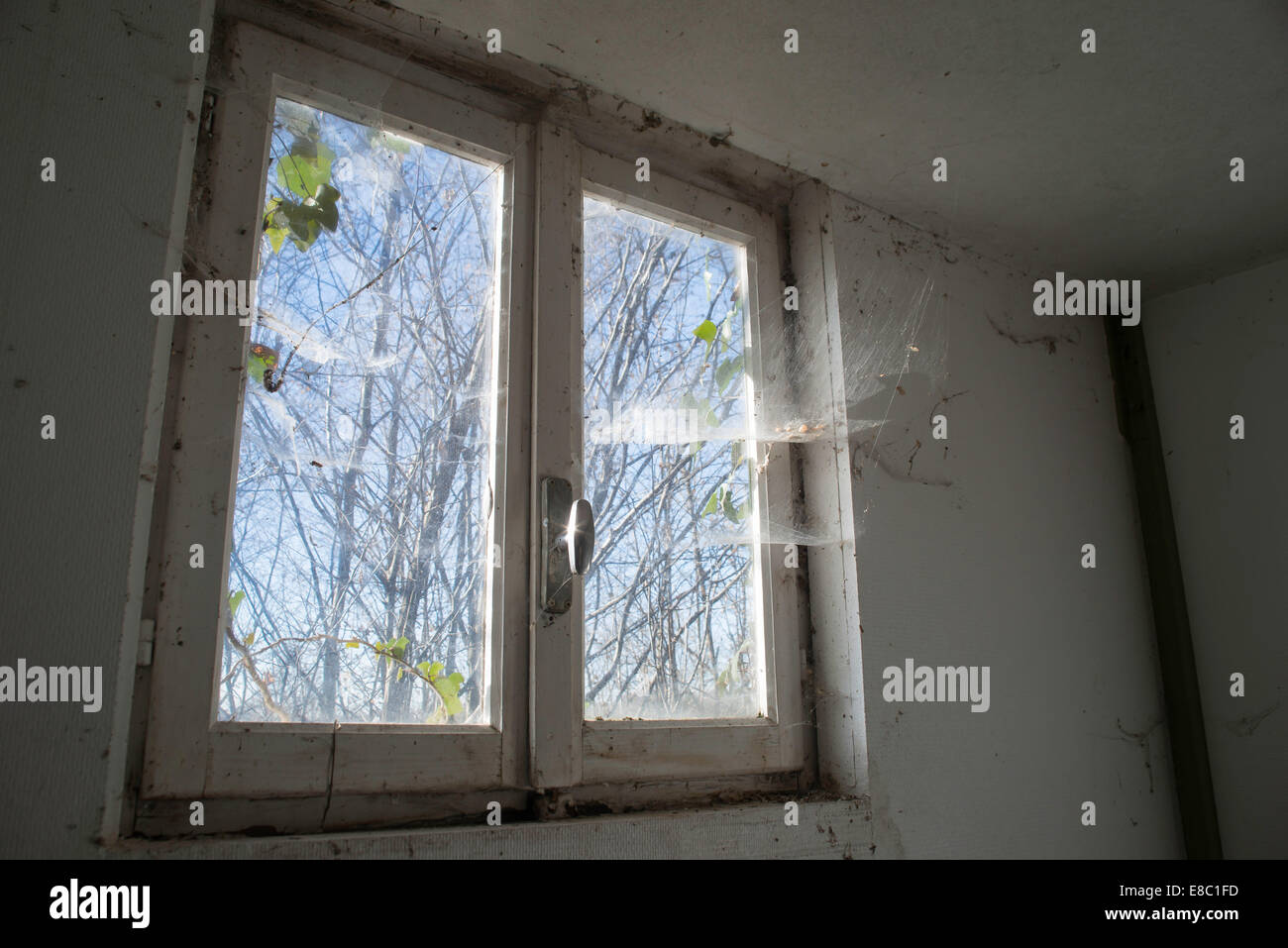 Cobweb empty hi-res stock photography and images - Alamy