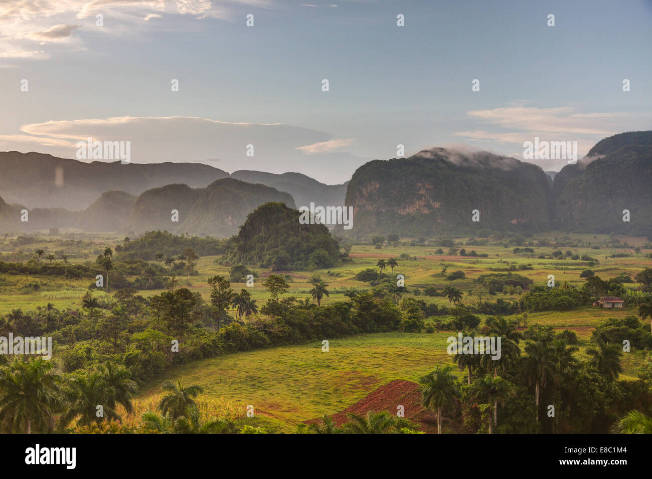 Pinar del rio province hi-res stock photography and images - Alamy